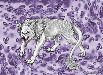 Purple Bubbles Wallpaper - The Wajas Wiki