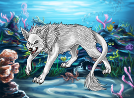 Coral Reef Wallpaper - The Wajas Wiki