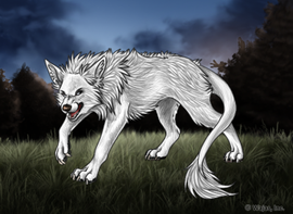 Sunset Forest Wallpaper - The Wajas Wiki