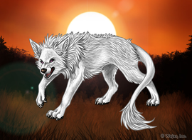 Blazing Sunset Wallpaper - The Wajas Wiki