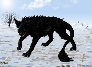 Snowy Field Wallpaper - The Wajas Wiki