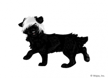 Emo Wig White - The Wajas Wiki