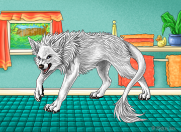 Bathroom Wallpaper - The Wajas Wiki