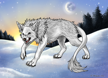 Winter Sunrise Wallpaper - The Wajas Wiki