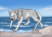 Sunny Beach Wallpaper - The Wajas Wiki