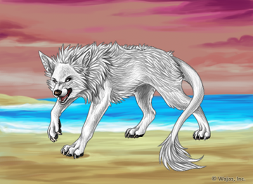 Sunset Shore Wallpaper - The Wajas Wiki