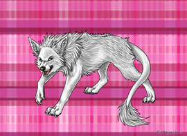Pink Plaid Wallpaper - The Wajas Wiki